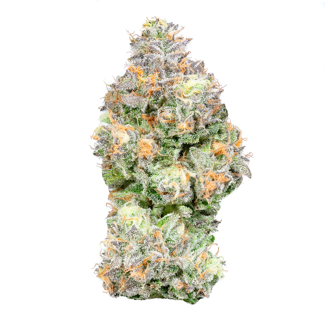 Zpectrum | Alien Labs