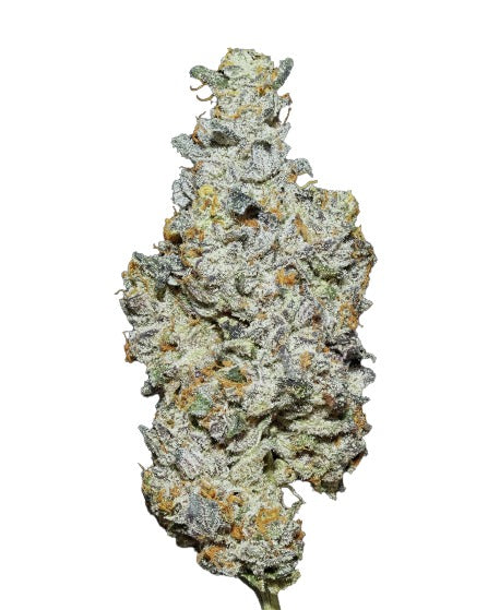 Sherbacio Strain Review | Alien Labs
