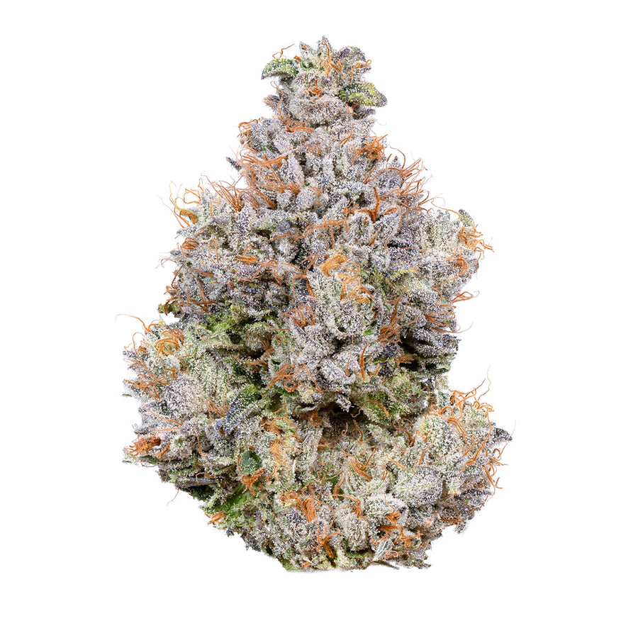 Classified: Area 41 Strain | Alien Labs