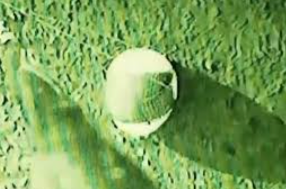 UFO Sightings Surge: Air Force Insiders ‘Egg UFO’ Photos | Alien Labs