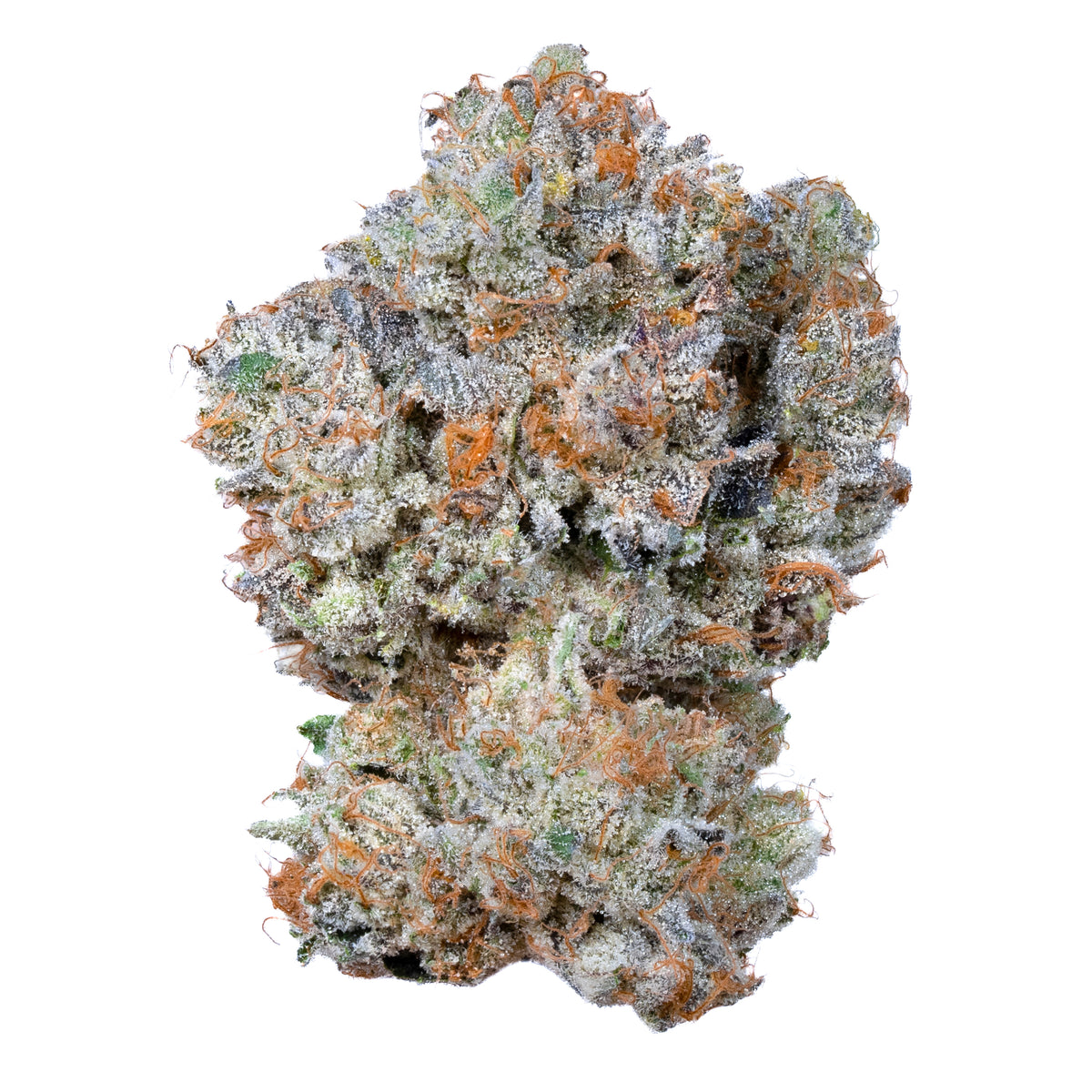 Atomic Apple 10g | Alien Labs
