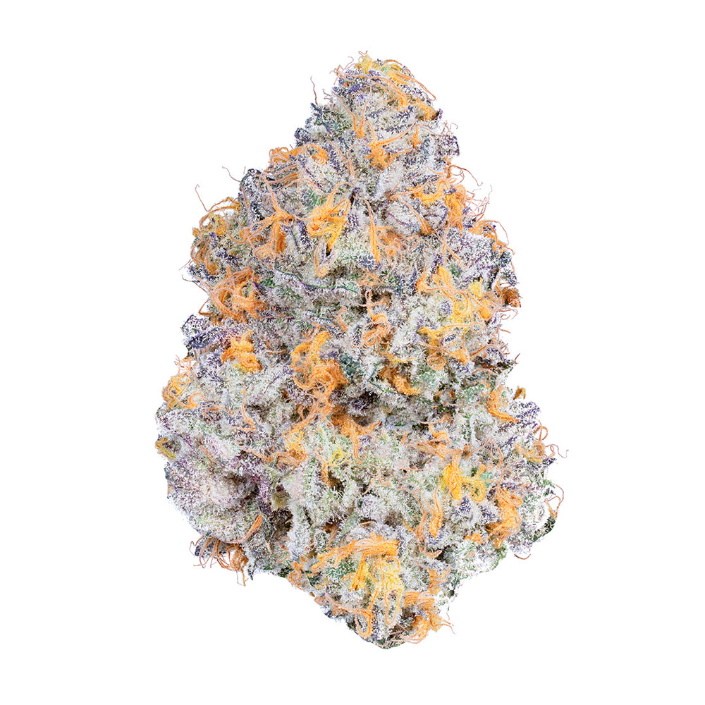 BK Satellite | Alien Labs