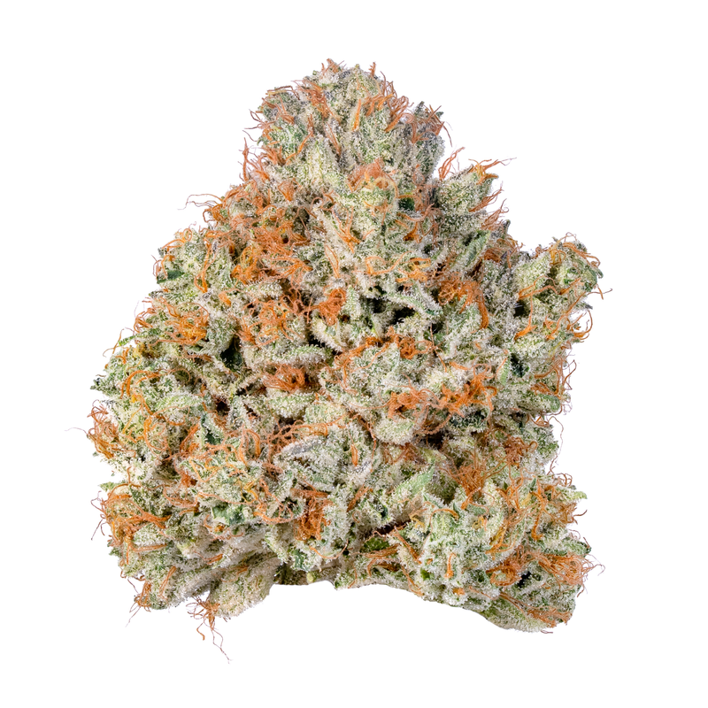 Space Face | Alien Labs