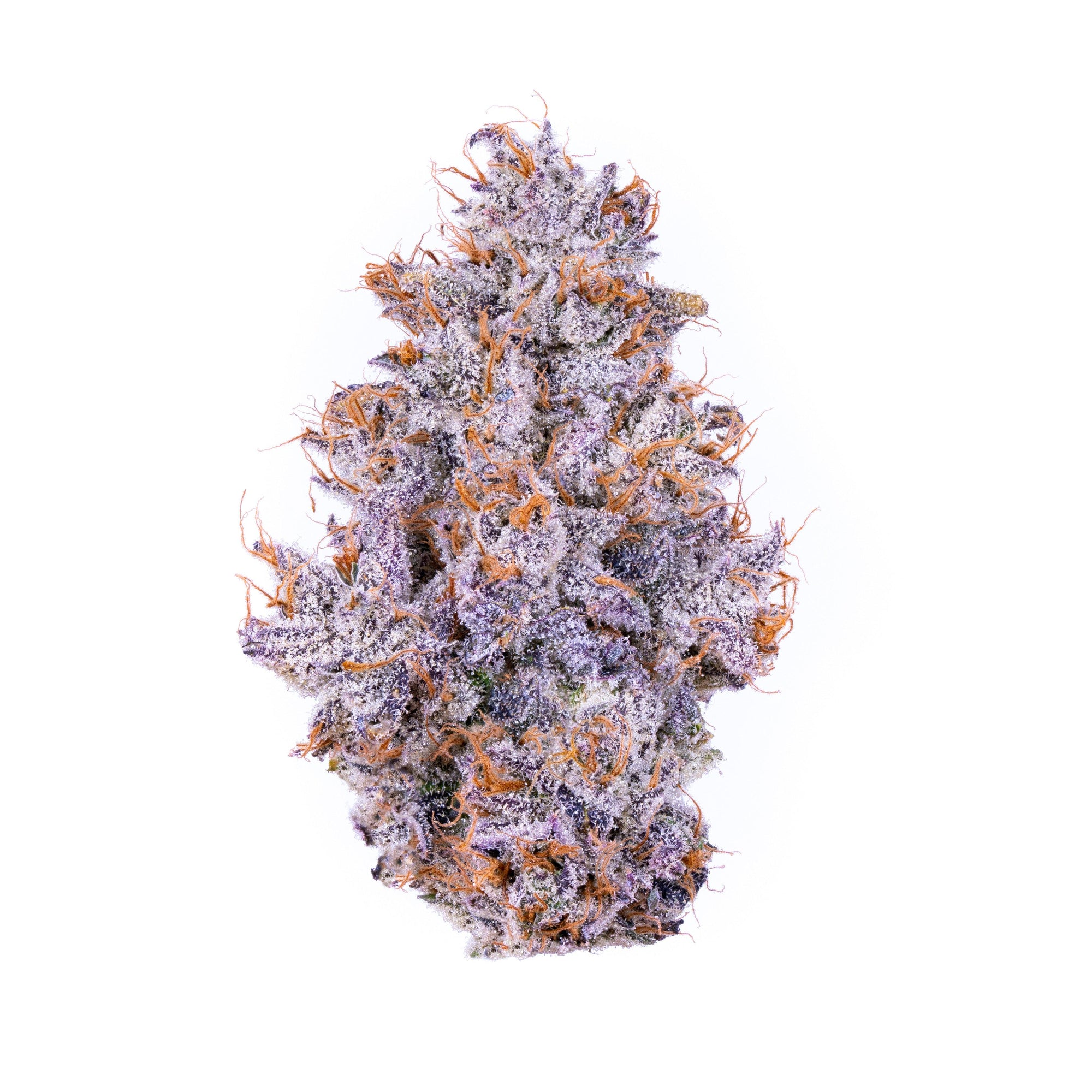 Alien Labs: Elevating Cannabis Culture